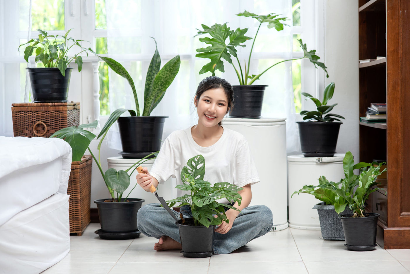 Why Choose Indoor Plants