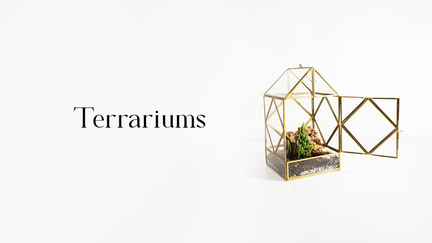 Buy Stunning Terrarium Kits Online at Aravalii