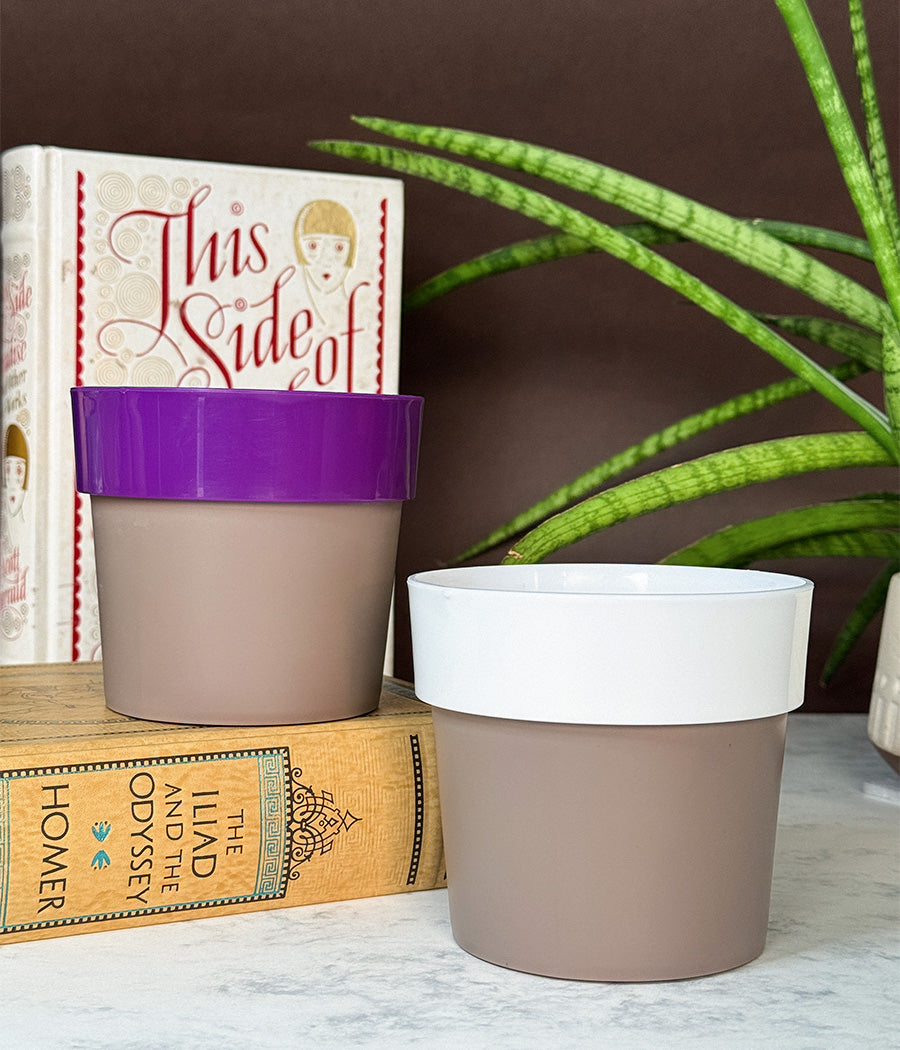 Duo Sunny-side Planter