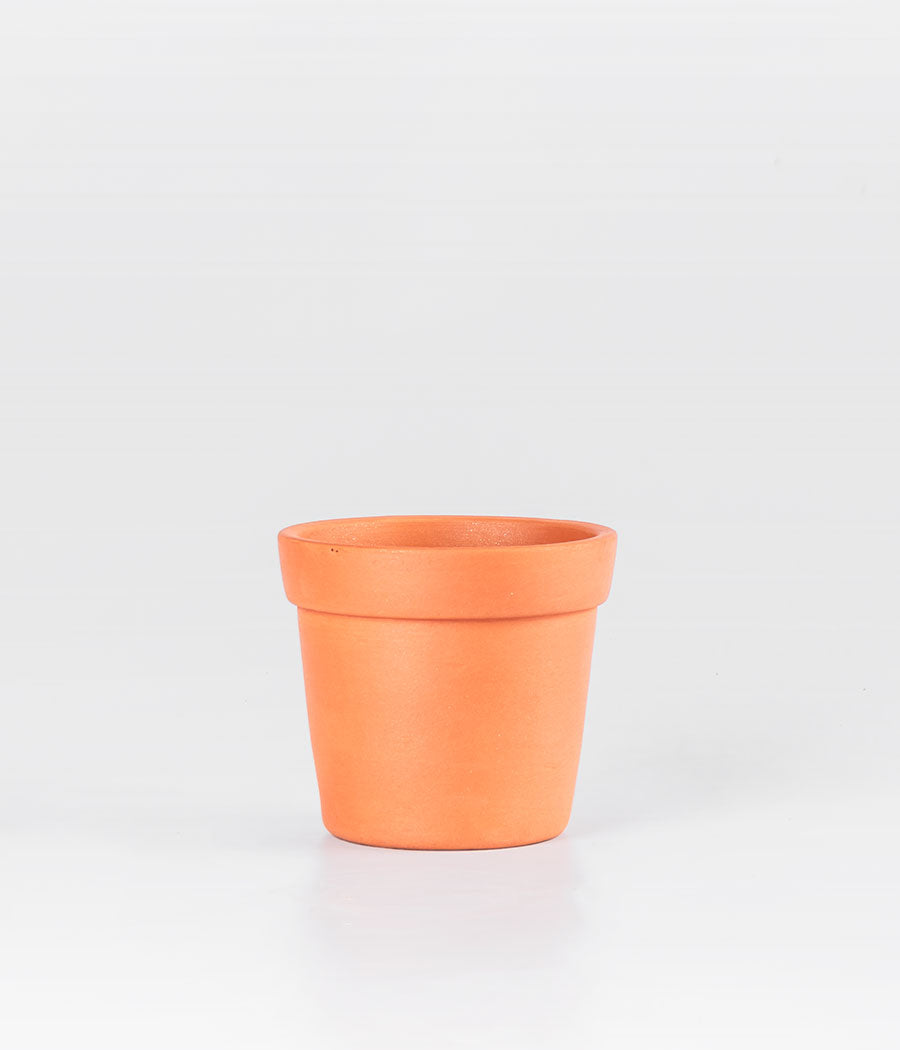 Brown Colour Clay Pot