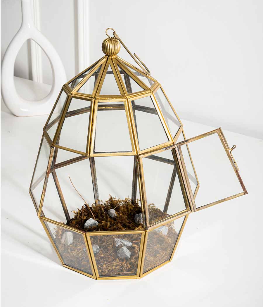 Buy Juno Terrarium For Plant Online | Safe Home Delivery
