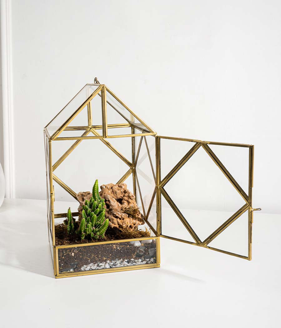 Buy Geneva Terrarium for Plant Online | Safe Home Delivery – Aravalii