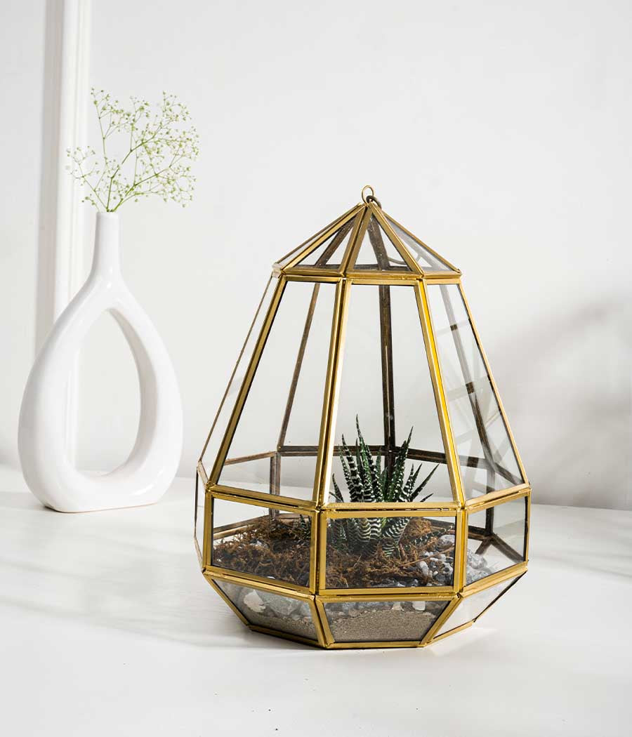Buy Helena Terrarium For Plant Online | Safe Home Delivery – Aravalii